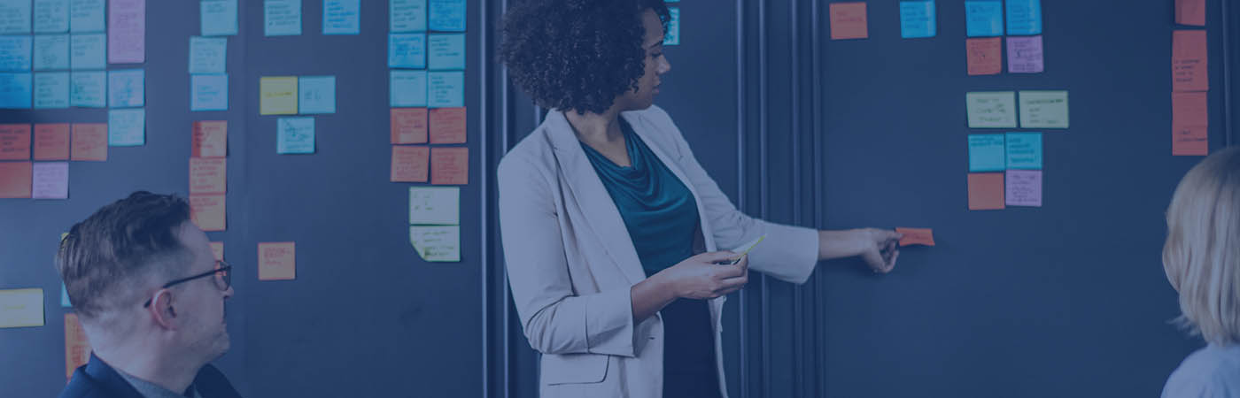 The scope of human resource information system